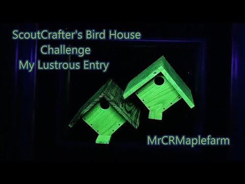 ScoutCrafter's Bird House Challenge: My Lustrous Entry - YouTube