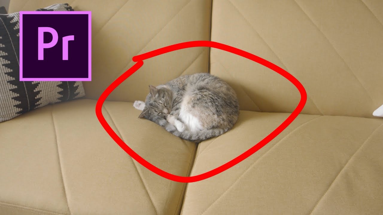 How To Make HAND DRAWN CIRCLE Animation In Premiere Pro - YouTube