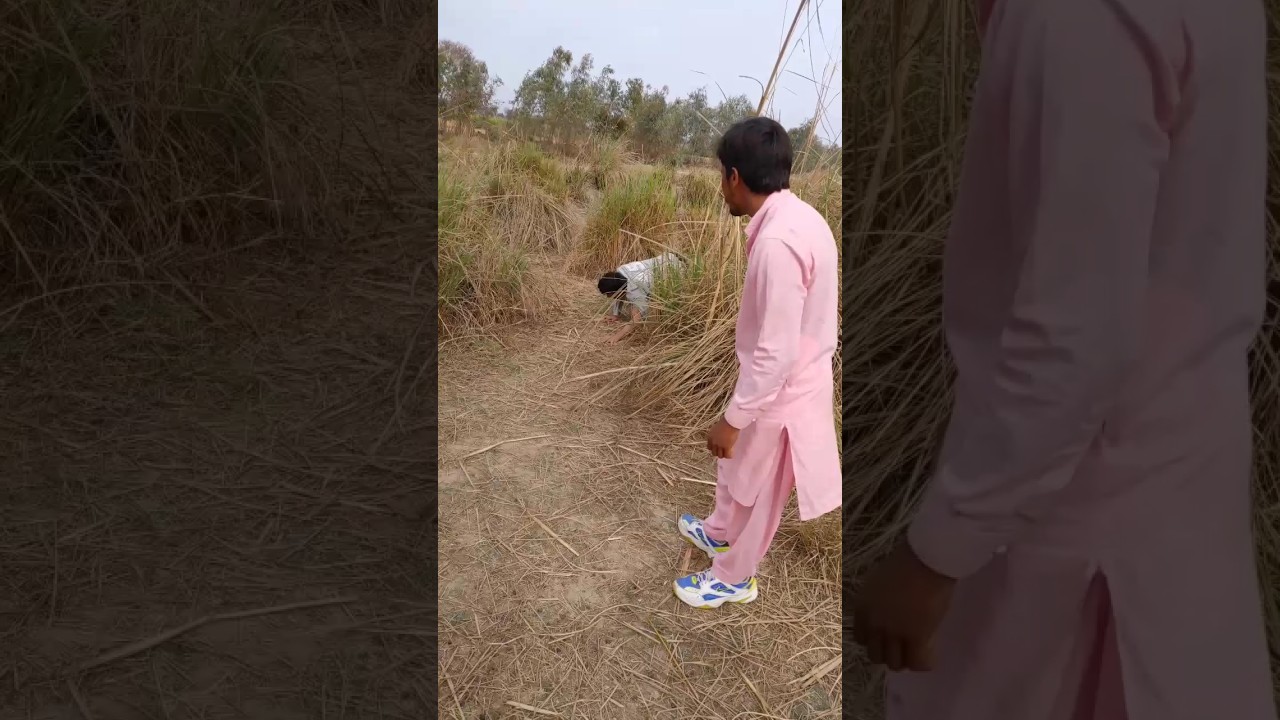 Churail Funny Video 🤣😂😂 #funnyvideo #shorts #funny by #3allien - YouTube