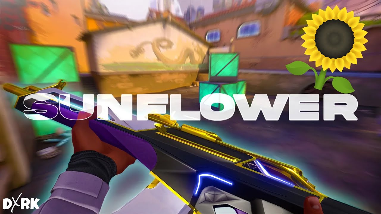 Sunflower🌻 | Trio Valorant Montage Ft. Vize & Cam - YouTube