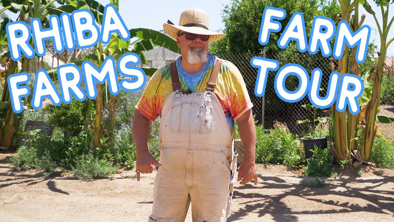 Regenerative Agriculture and FARM TOUR at Rhiba Farms! | A Taste of AZ ...