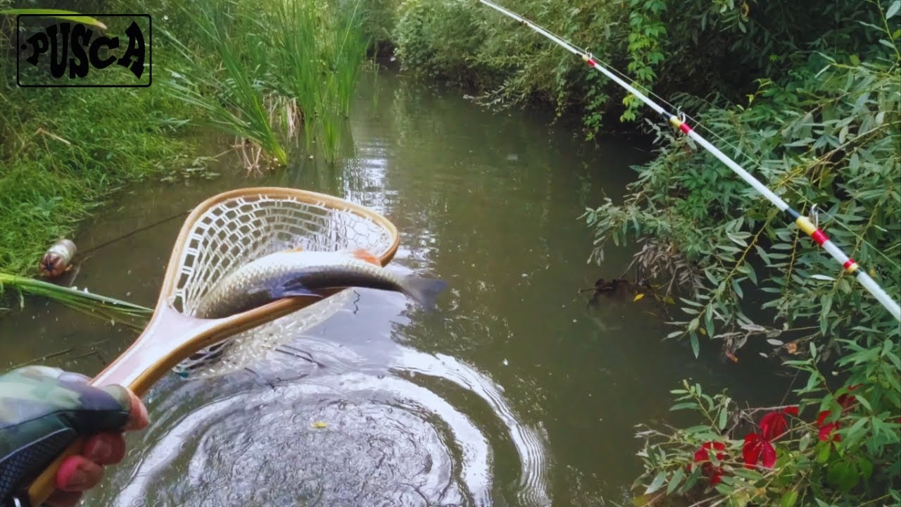 Pescuit la CLEAN, o partida cu capturi neasteptat de frumoase ! BFS ...