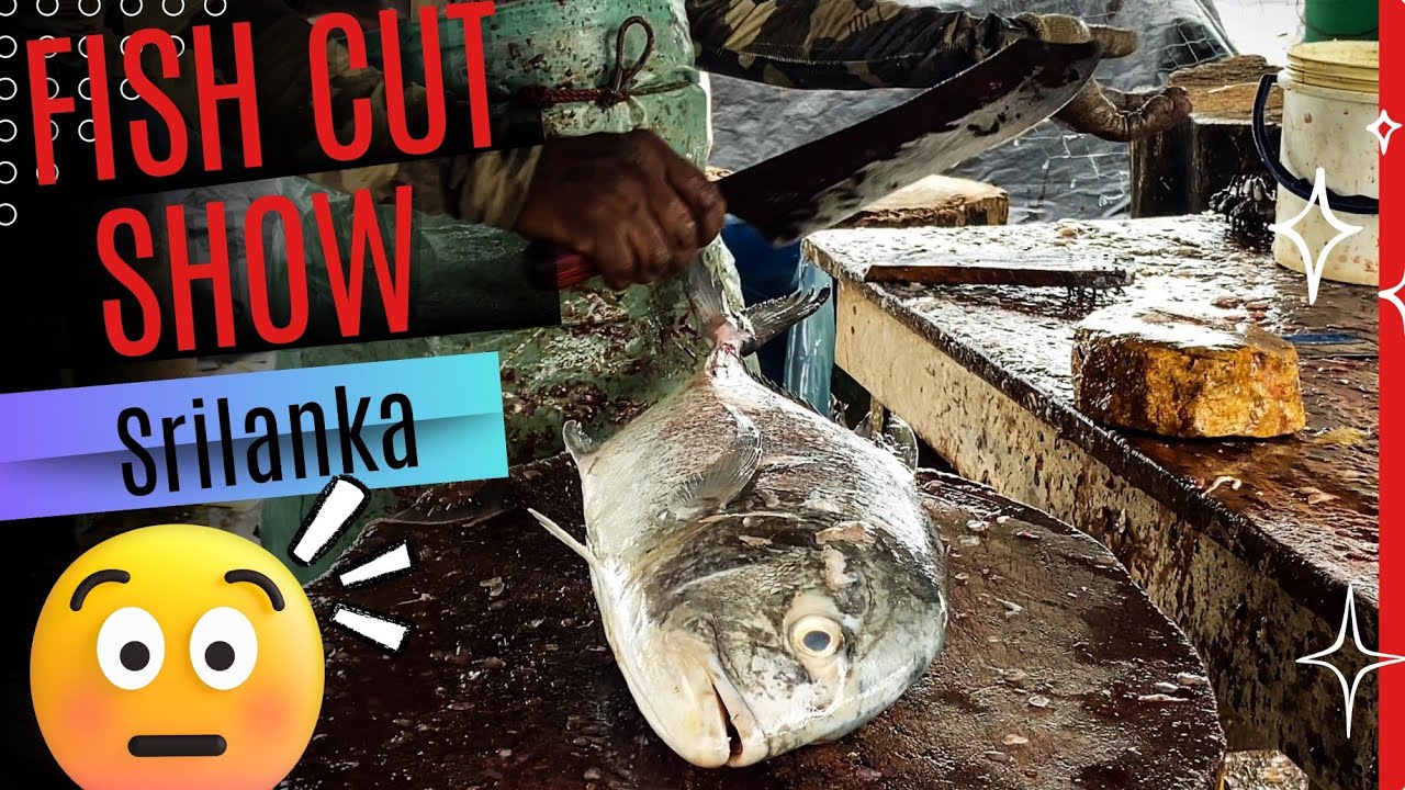 Fish cut in srilanka 🔥 Fish cutting techniques - YouTube