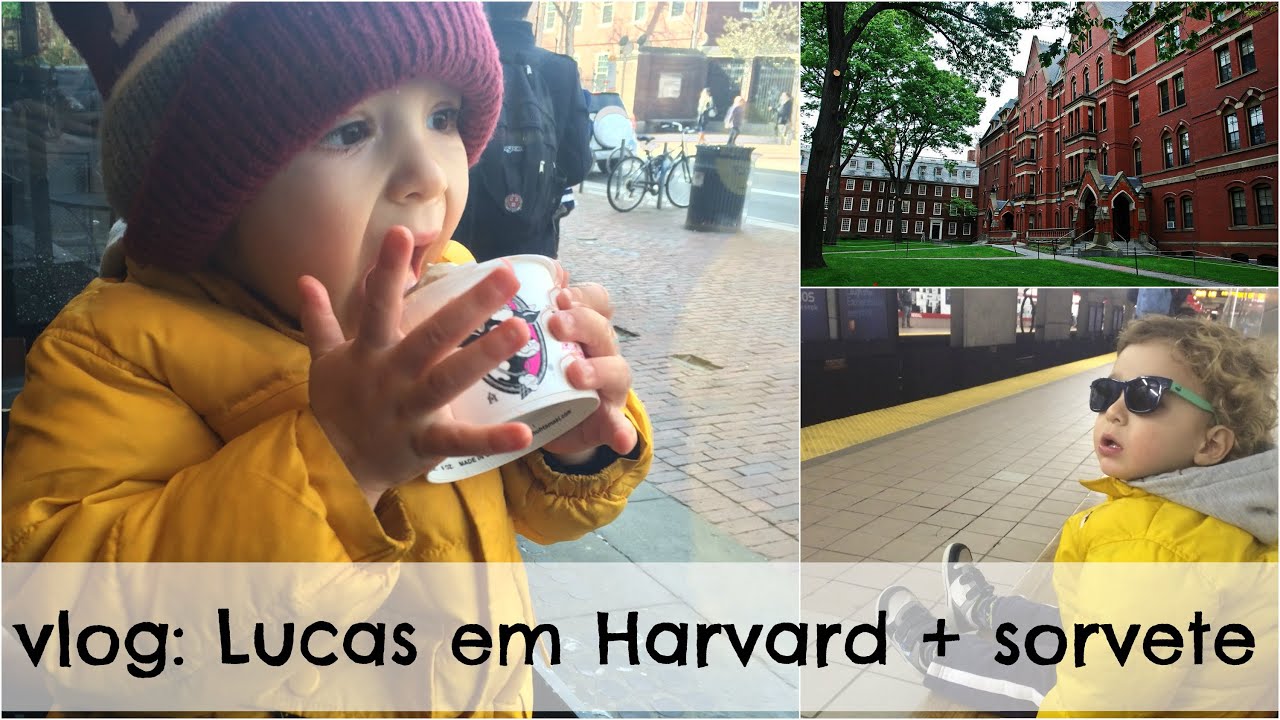 vlog: Lucas em Harvard + sorvete - Coração de Mãe - YouTube