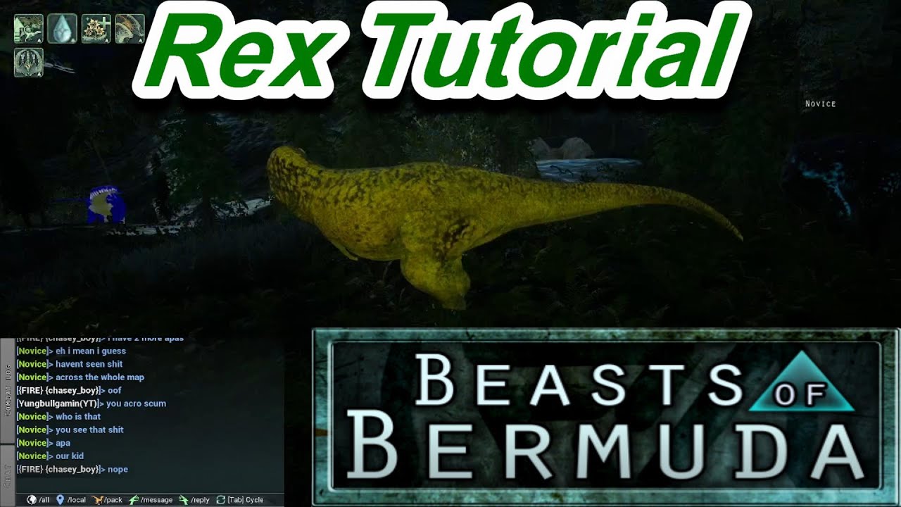 Beast of Bermuda- Steps on how to grow a Rex - YouTube