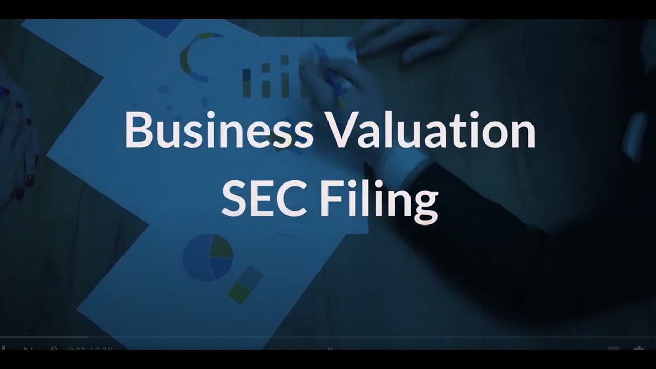 Valuing Your Business for an SEC Filing | Eqvista - YouTube