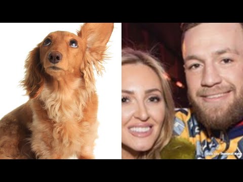 Conor McGregor’s Sister Voicemail war with Groomers