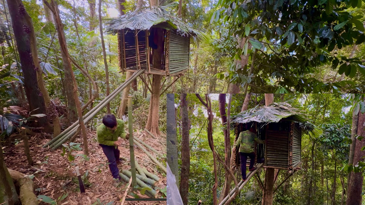 "Building a Treehouse Shelter to Survive in the Wilderness" - YouTube