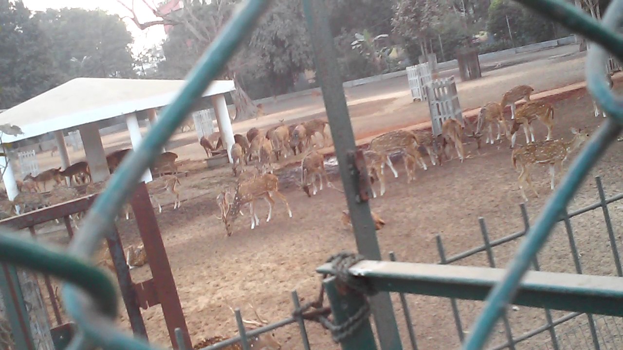 February 9, 2017 - YouTube