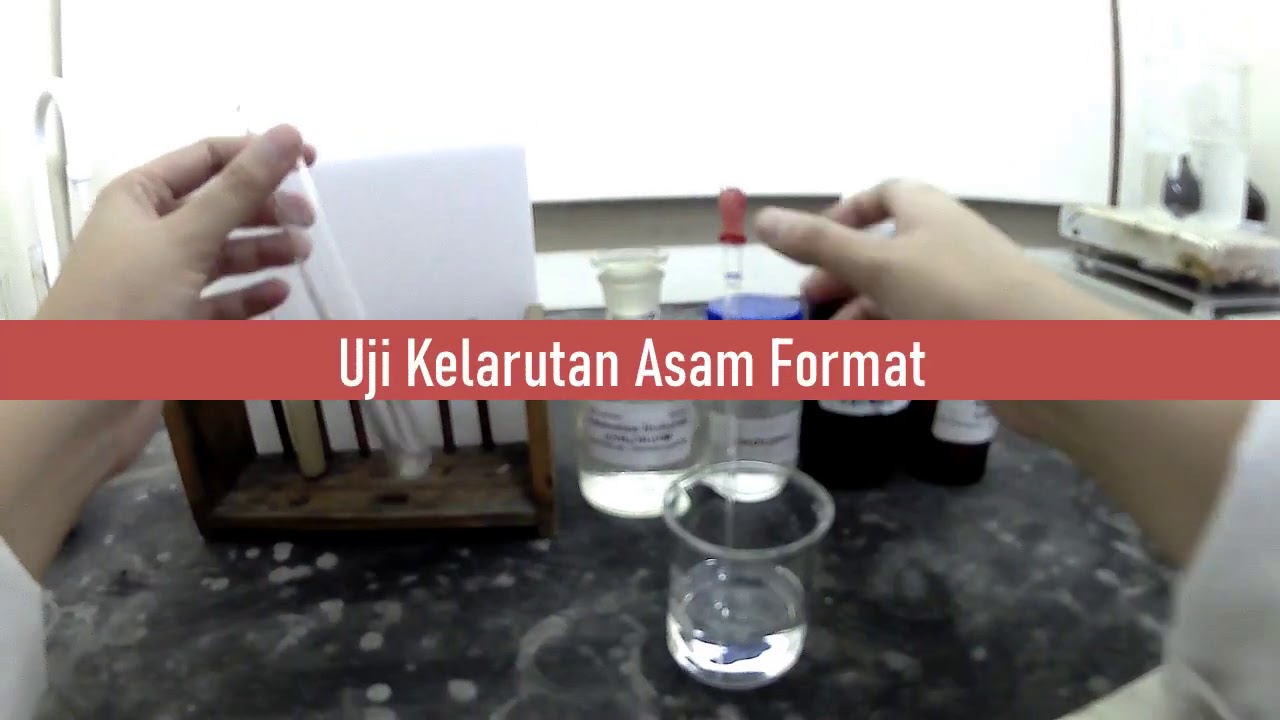 KOL LAB 5 A Kelarutan dan Uji Kualitatif Asam Format - YouTube