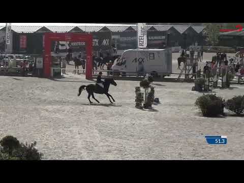 Berktzicht Jekilja, competition video,Justice HR x Marits Mistique,, 2015,  BHT Summer 2024 Auction