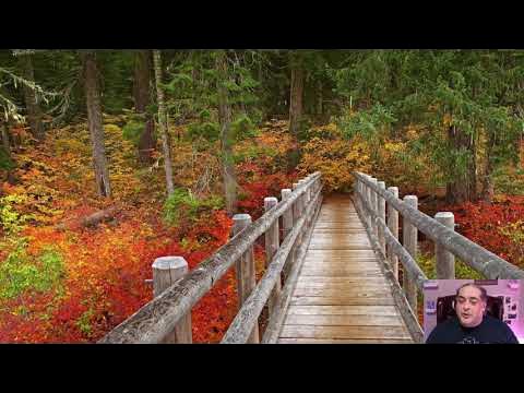 Tools: Sitefinity Install of the CLI (Command Line Interface) - YouTube