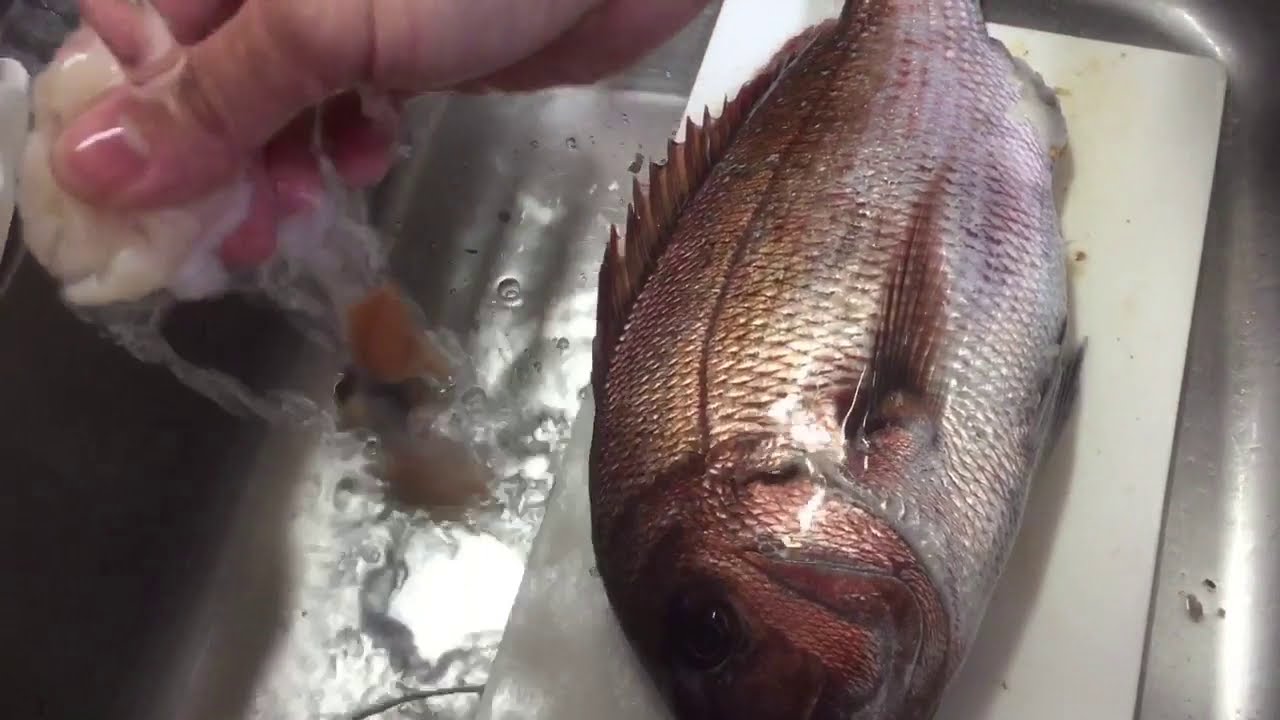 MyLifeInJapan))The Day he fishing - YouTube