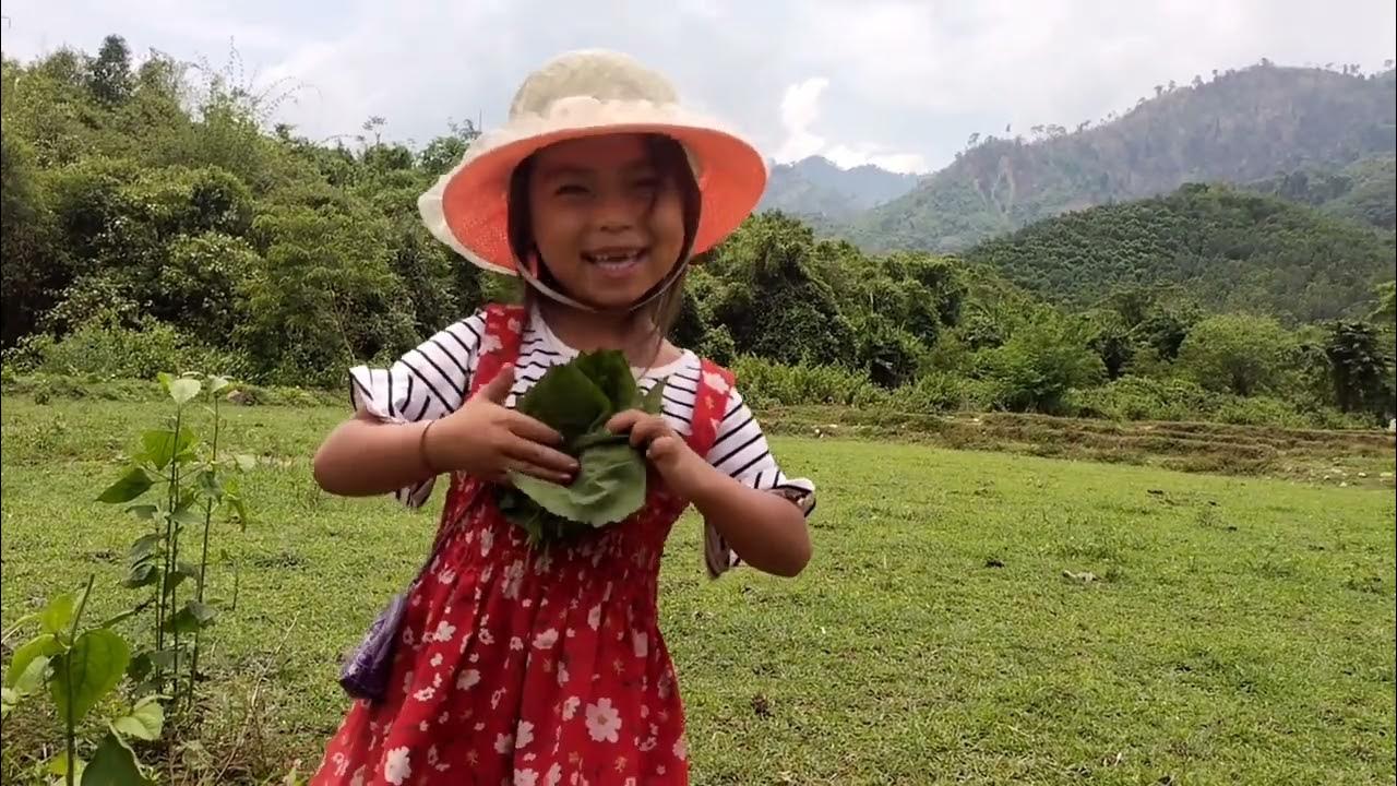 Hnub no peb cov niam tub mus khawb pos Tom liaj. 27/5/2023 - YouTube