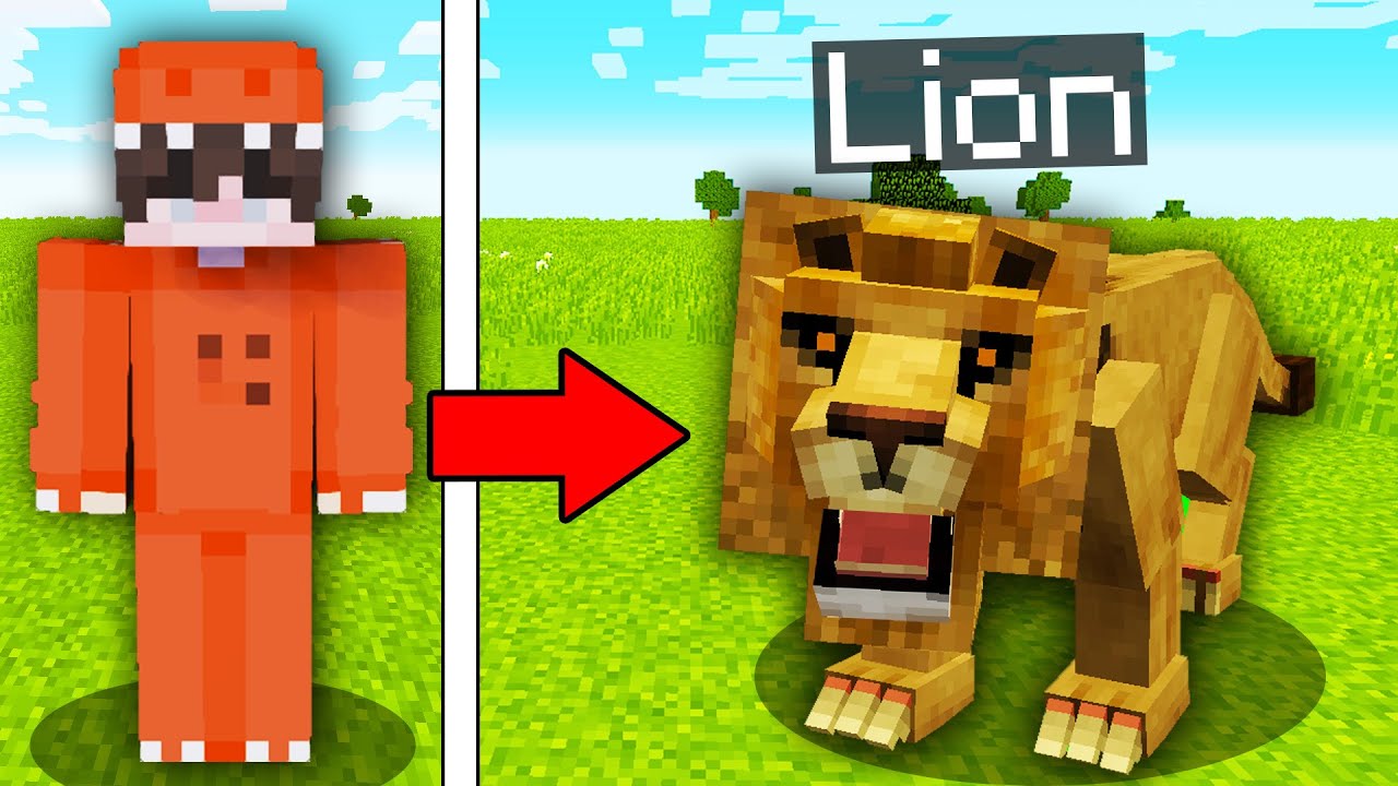 I Pranked My Friend as a Lion in Minecraft! - YouTube