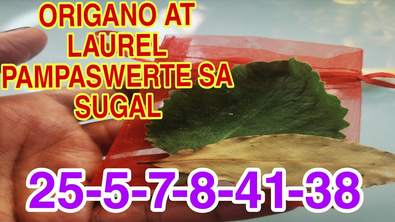 ORIGANO AT LAUREL PAMPASWERTE SA SUGAL-APPLE PAGUIO7 - YouTube