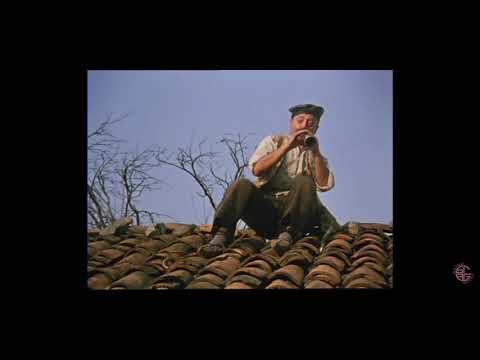 Господин за един ден (soundtrack 2)