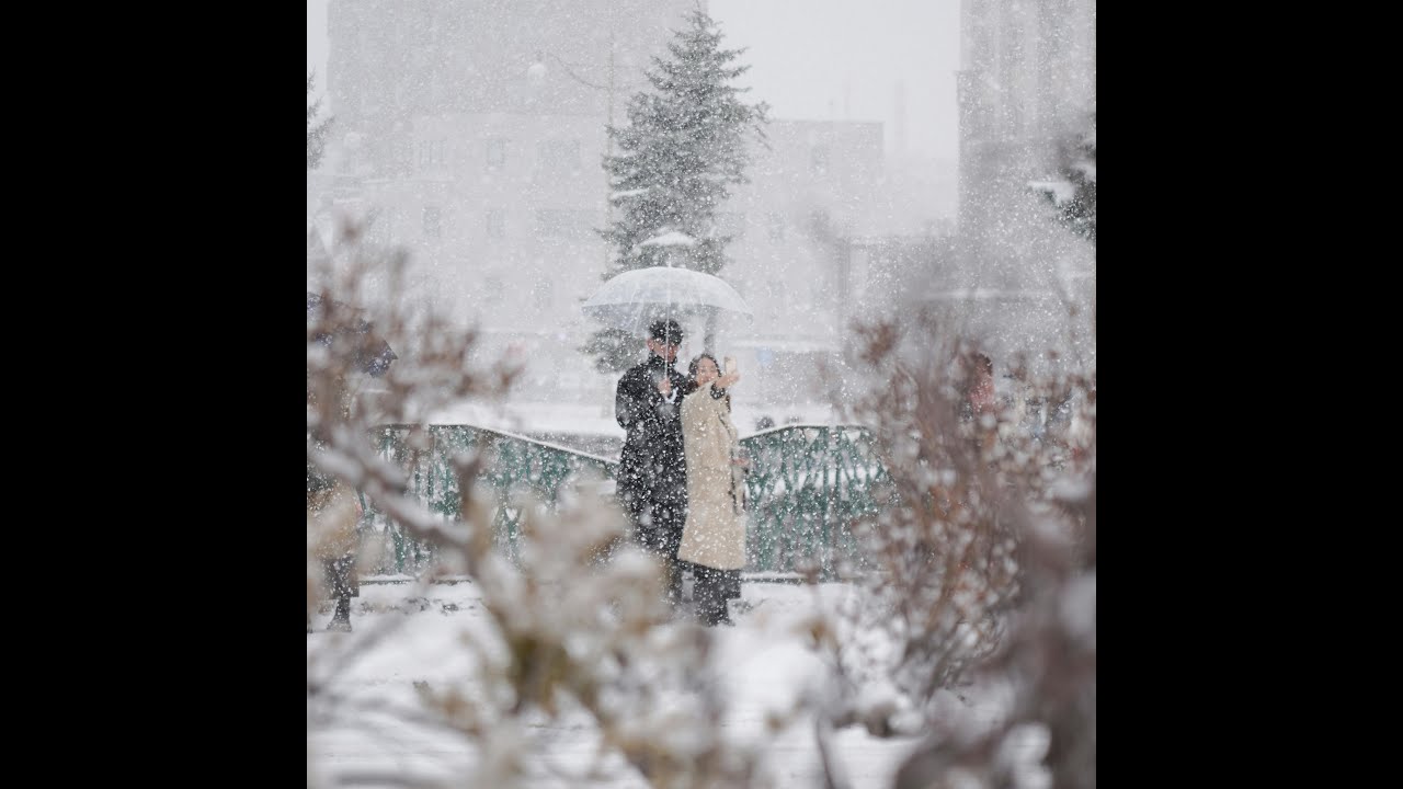 [ASMR] Snow Storm Sounds for sleeping ! RELAXATION and MEDITATION - YouTube