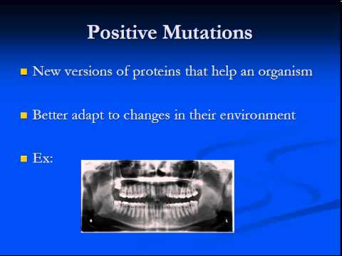 How can there be both positive and negative mutations? - YouTube