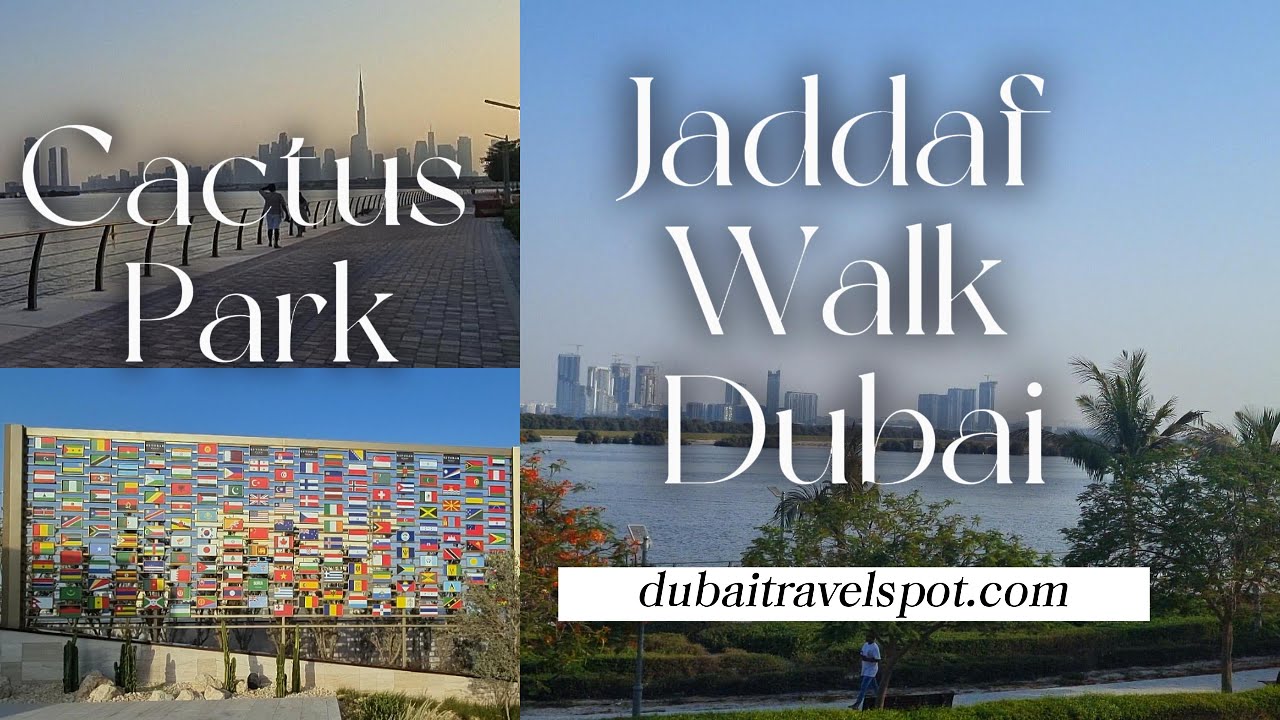 The beautiful Cactus Park in Dubai: A botanical wonderland - YouTube