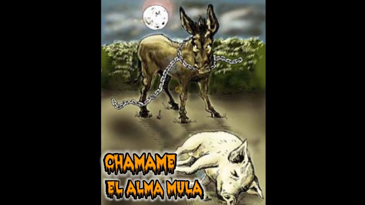 CHAMAME . el alma mula - YouTube