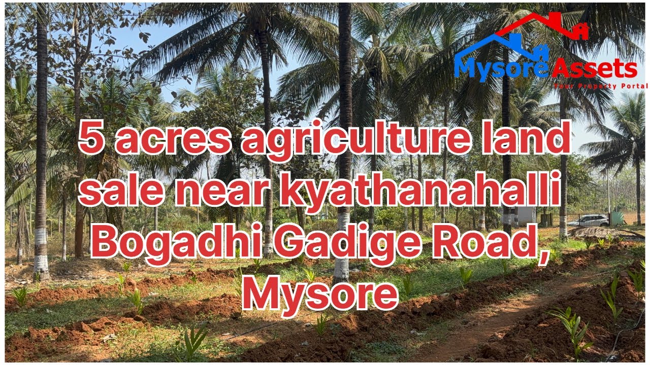 5 acre agriculture land For Sale in kyathanahalli Bogadi mysore - YouTube