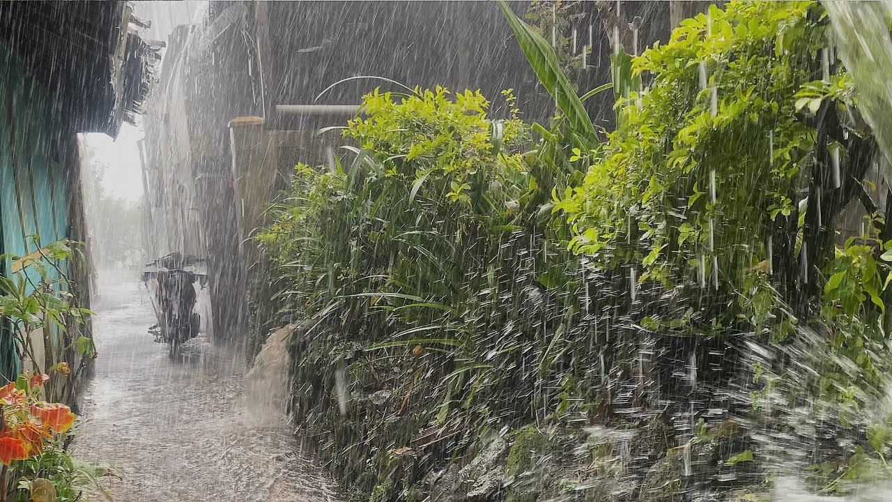 Very Heavy Rain in the Afternoon in an Indonesian Village || Very Cool ...