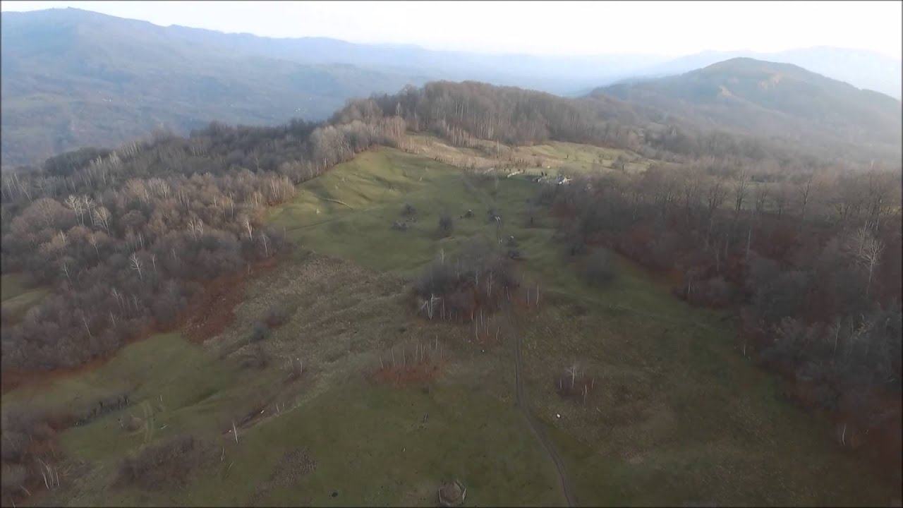 Porci Bio Romania - YouTube