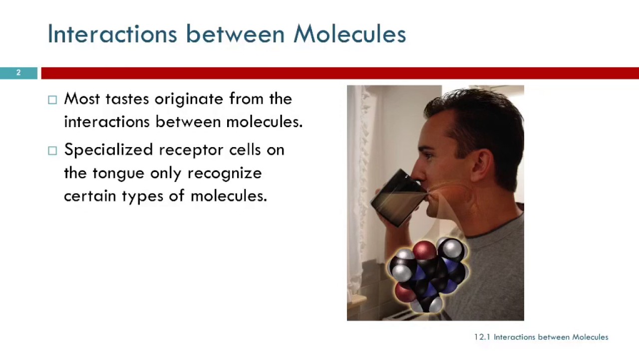 12.1 Interactions between Molecules - YouTube