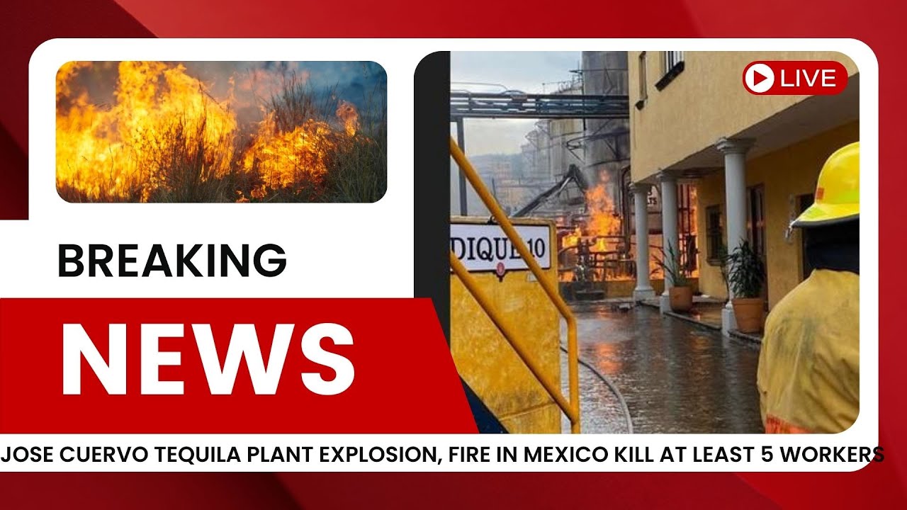 Jose Cuervo tequila plant explosion, fire in Mexico kill at least 5 ...