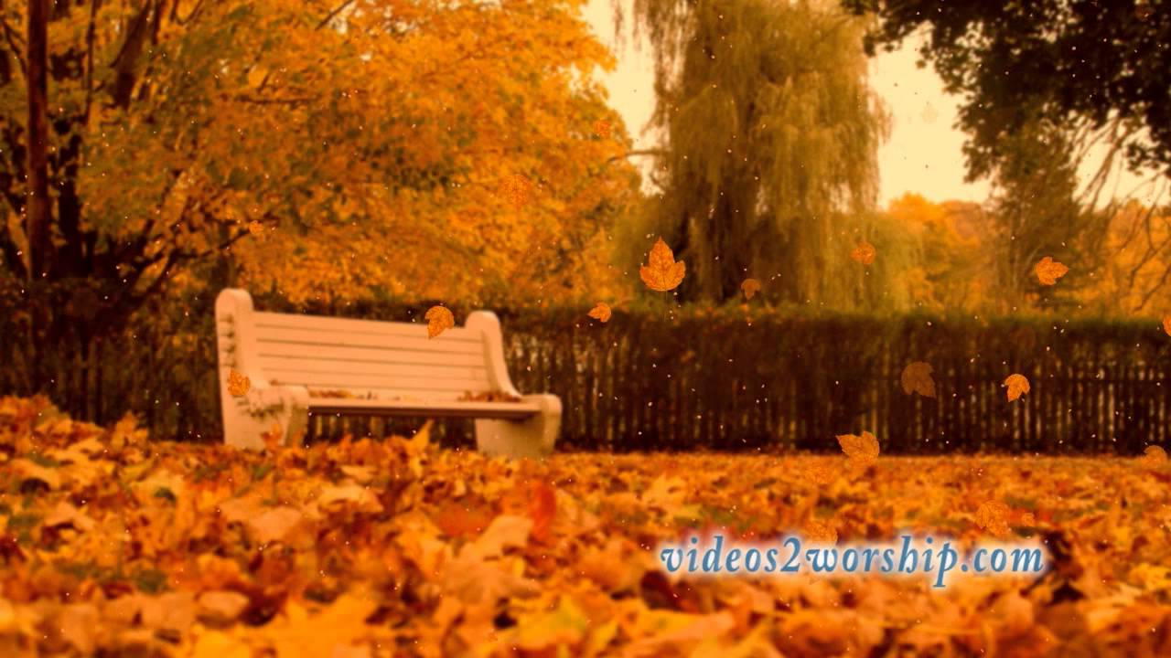 Bench In The Park Fall Background - YouTube