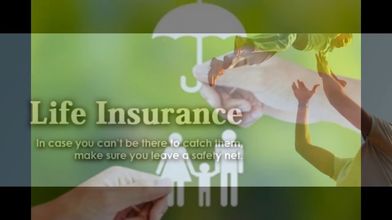 Life Insurance - YouTube