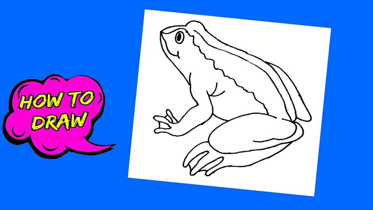 How to Draw a Frog Very Easy Drawing Step by Step - YouTube