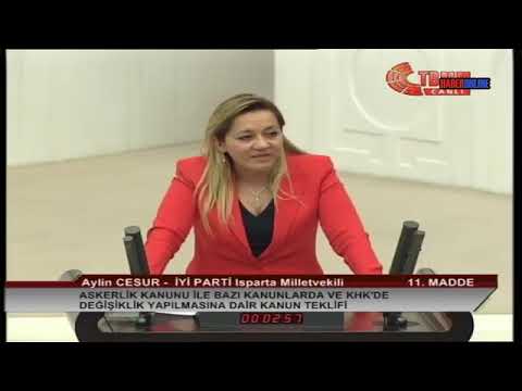 Aylin Cesur | Meclis Konuşması | 25 Temmuz 2018 | Torba Yasa Görüşmeleri