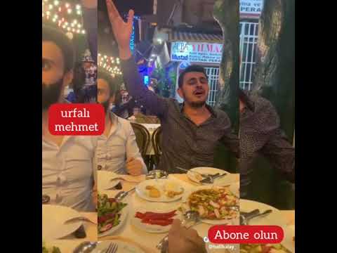 Hele ninno nolasan halil kalay tik tok (reynmen bedelini ödedik içimiz yana yana)