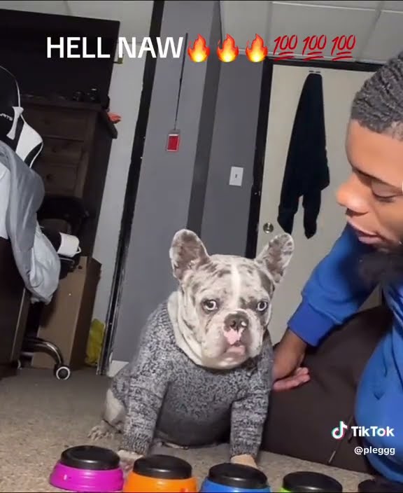 HE- HELL NAW - YouTube