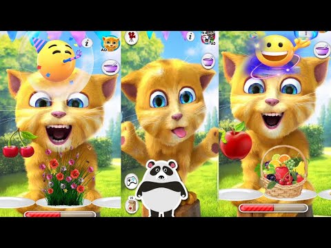 talking ginger cat funny video | talking tom 2 in real life | talking ...