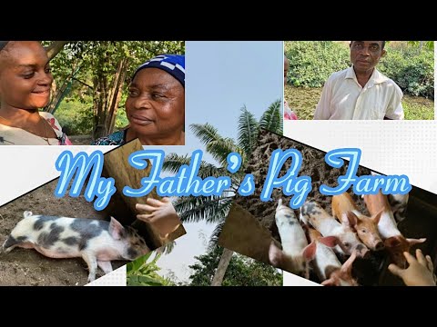 Follow me to my daddy’s pig farm | Vlog | A day in my life #viral #vlog ...