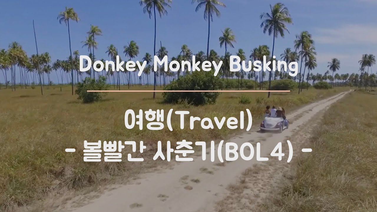 [COVER video] ‘여행(Travel) - 볼빨간사춘기(BOL4)’ - Donkey Monkey Busking - YouTube