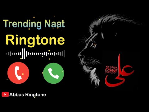 Sultan Ali 🦁|| new nazm video 📸| #viralringtone #abbasringtone