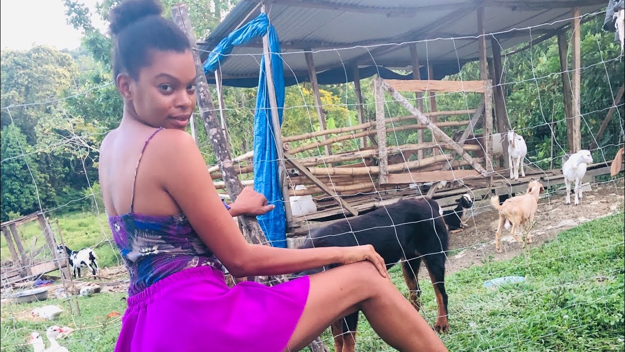 Issues with transportation farmer girl Jess - YouTube