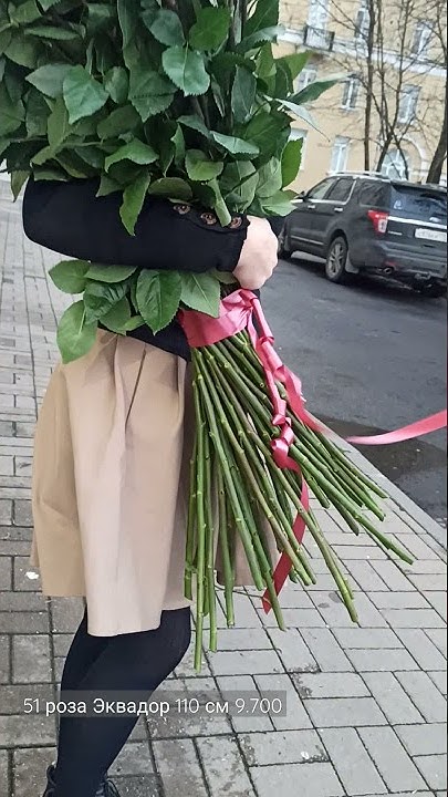 Гигантские розы купить. 51 роза Эквадор 110 см 9.700₽ - YouTube