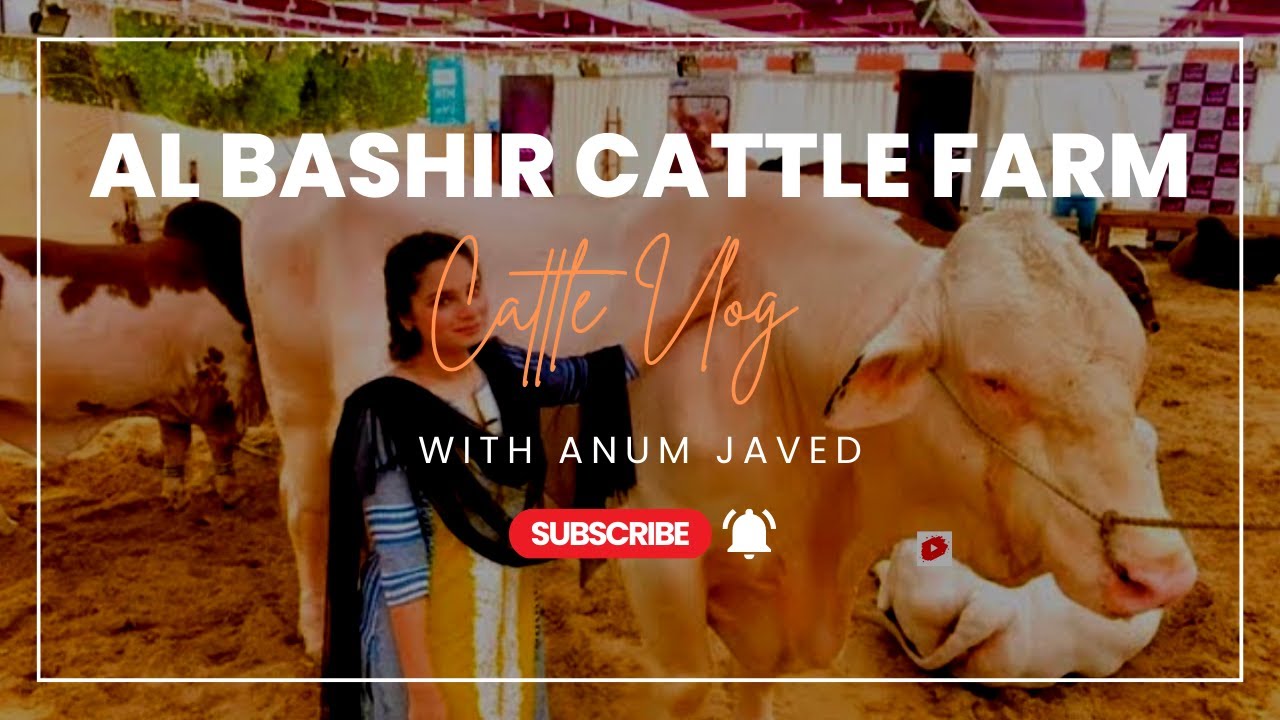 Anum Jawed Vlog | Maveshi Mandi Karachi | Al Bashir Cattle Farm - YouTube