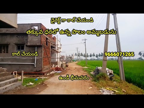 House for sale in Bhimavaram | పొలం అమ్మబడును ఉండీ | sale undi farm ...