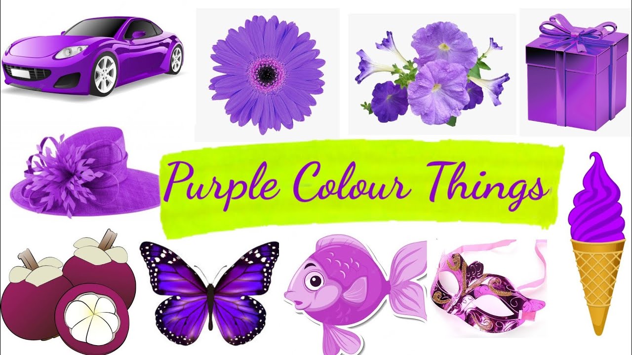 Purple colour things|purple color objects|learn colour|colours for kids ...