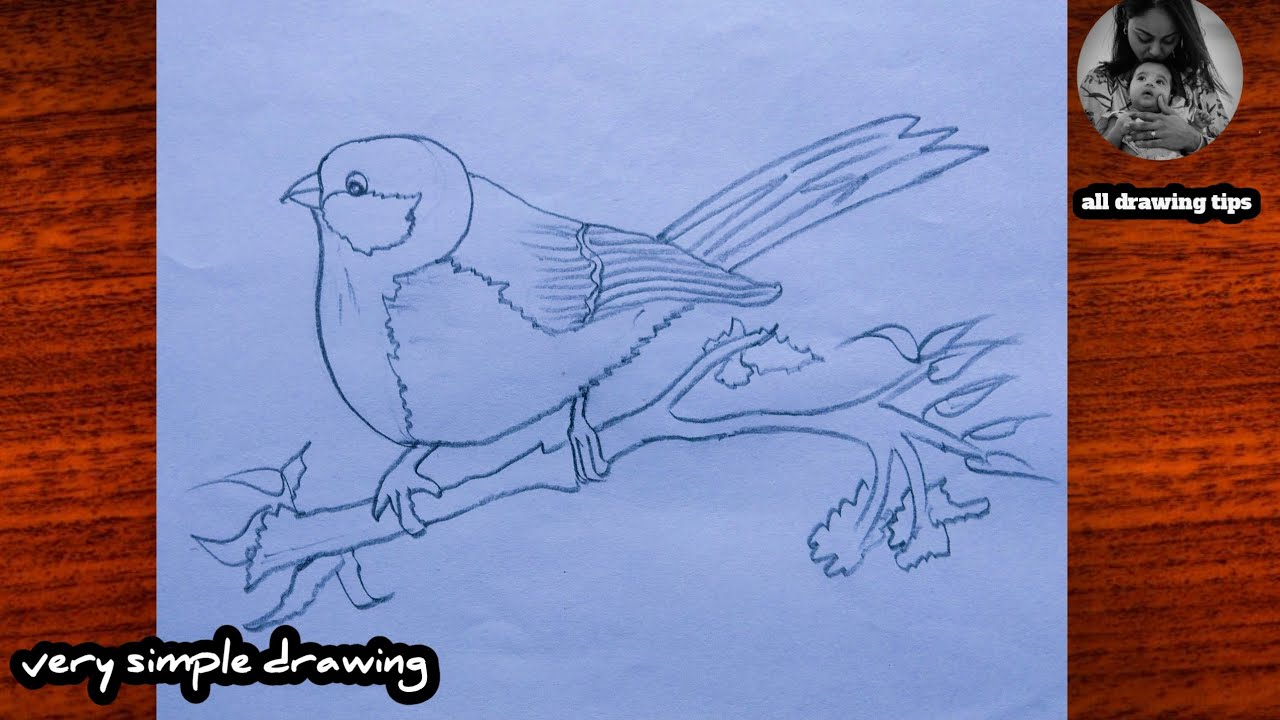 how to draw a pigeon easy//pakshi ka chitr kese banaye//bird drawing ...