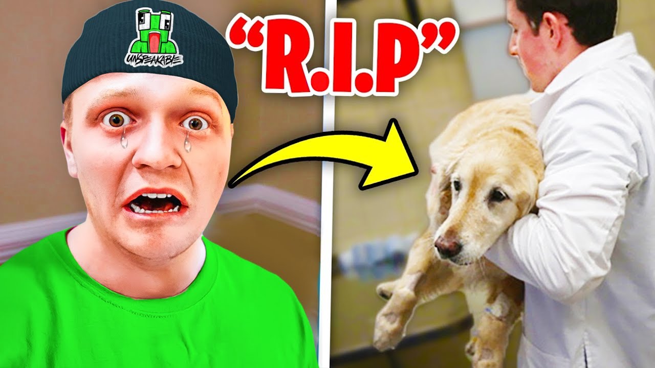 7 YouTubers Caught CRYING ON CAMERA! (Unspeakable, Preston, MrBeast ...