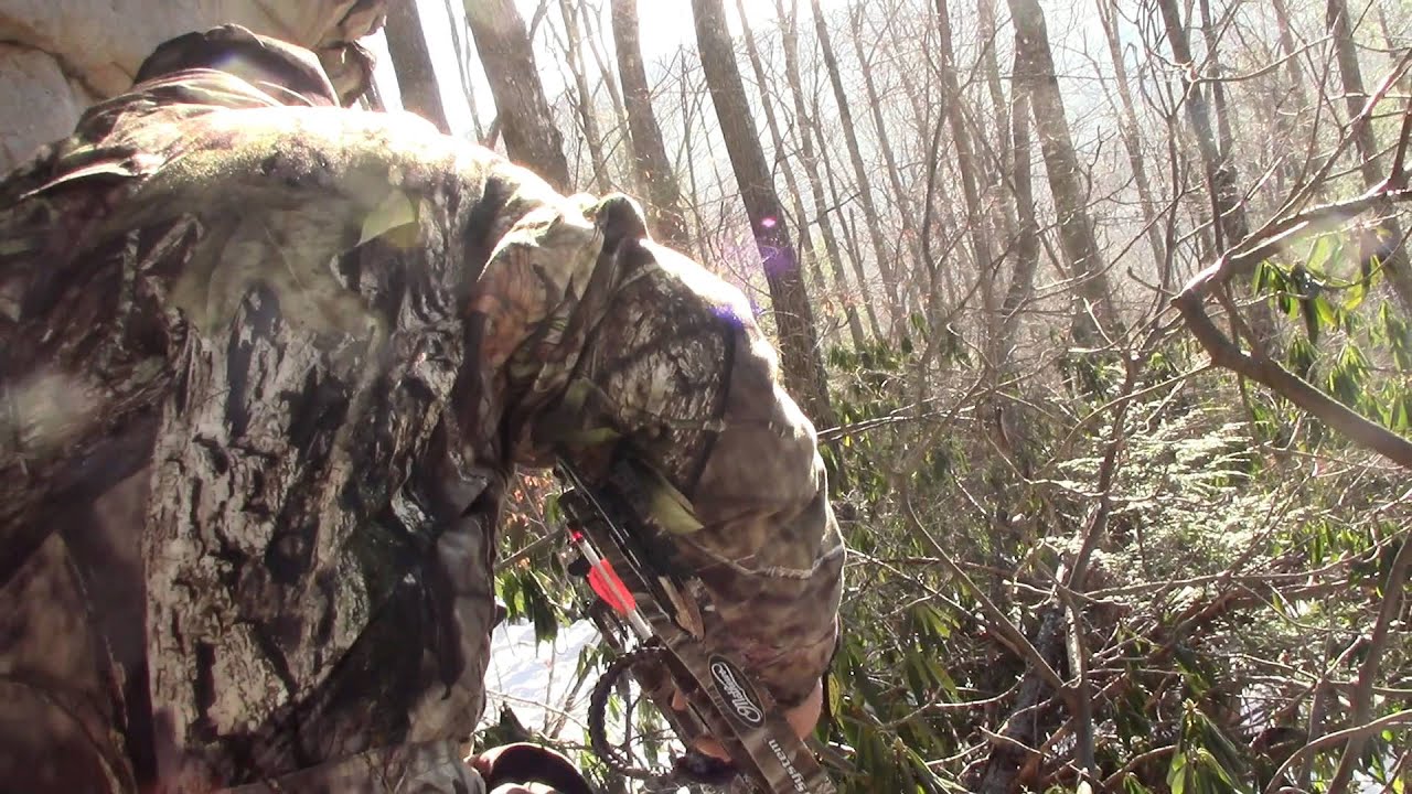 Wild Boar Bow Kill Jan. 2016 - YouTube