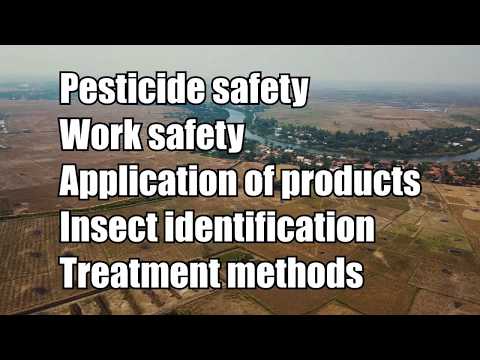 How Do You Become A Pest Control Technician