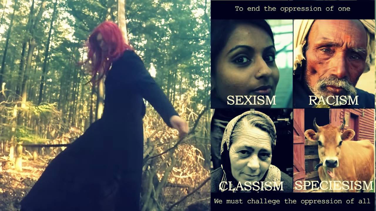 'the Animal Revolution Beginning '[the victim's point of view] - YouTube